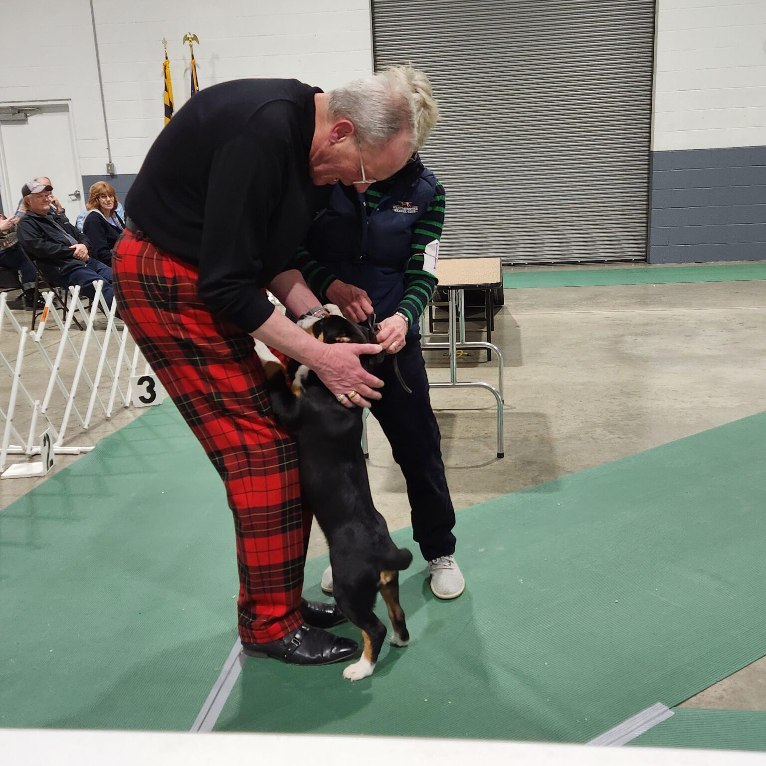 Photo Album – Mason&Dixon Kennel Club